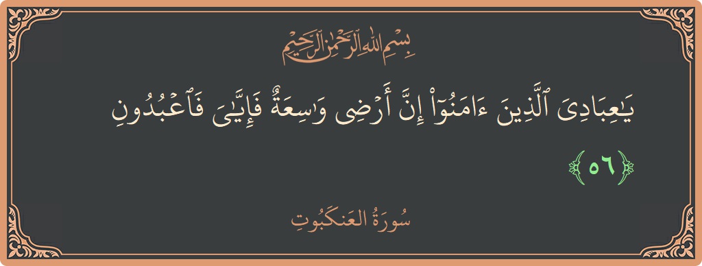 Verse 56 Surah Al Ankaboot يا عبادي الذين آمنوا إن أرضي واسعة فإياي