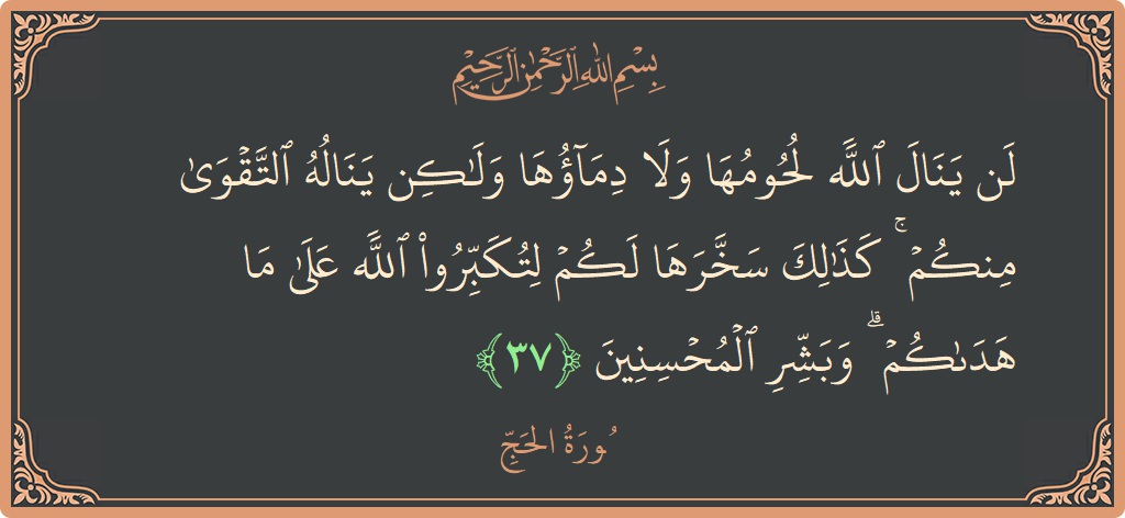 Verse 37 - Surah Al-Hajj: (لن ينال الله لحومها ولا دماؤها ولكن يناله ...