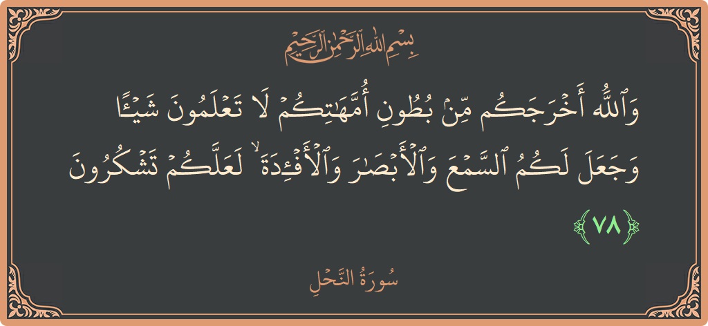 Verse 78 Surah An Nahl والله أخرجكم من بطون أمهاتكم لا تعلمون شيئا